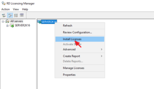 How to Install and Activate the RDS Licensing Role and CALs on Windows ...